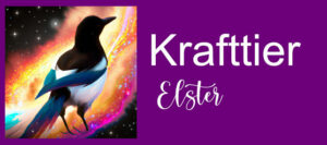 Krafttier Elster: spirituelle Bedeutung & Eigenschaften